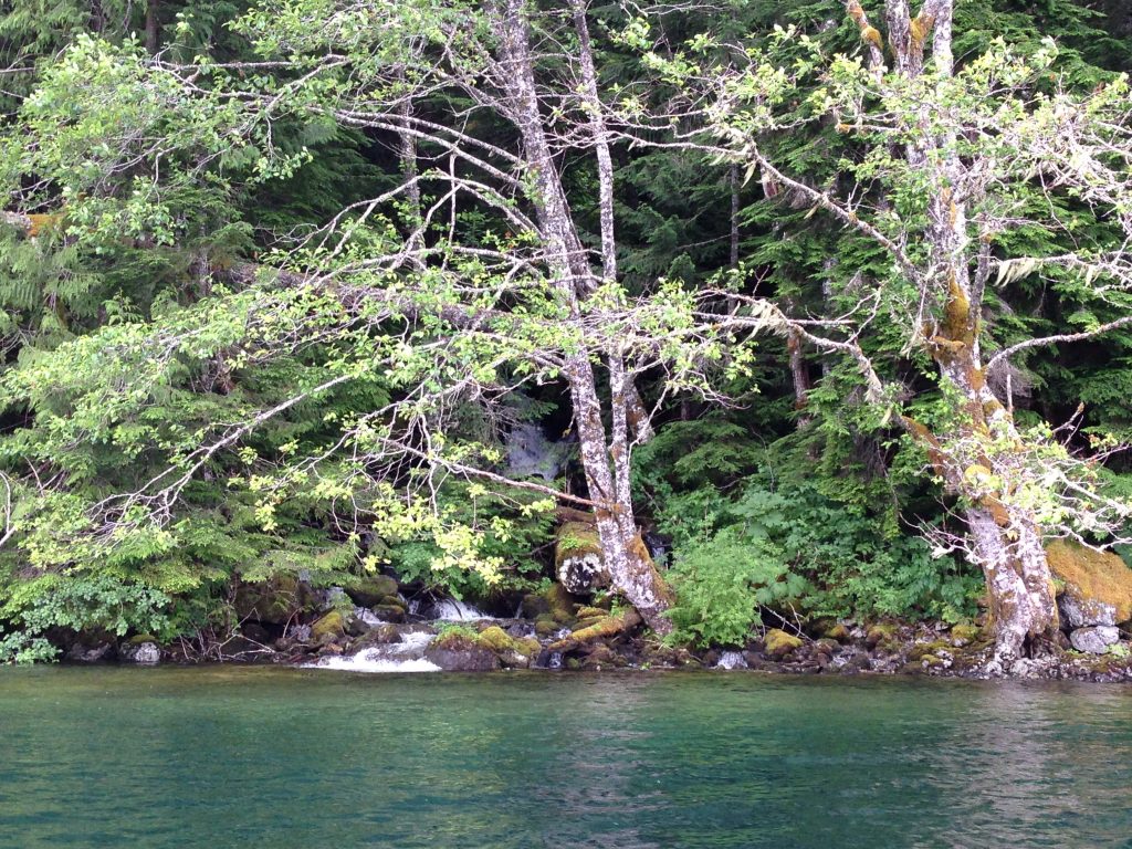 Creek flowing into Chilliwack lake – Pictures of BC