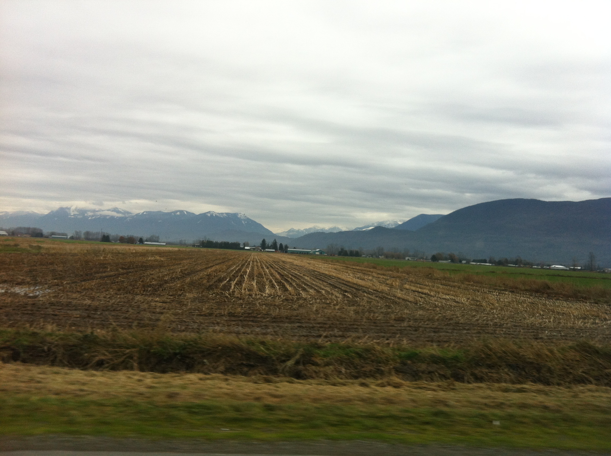 Sumas Prairie Winter Fields – Pictures of BC